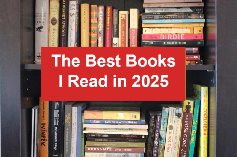 Top Picks From My 2025 Reading List | Donna Janke